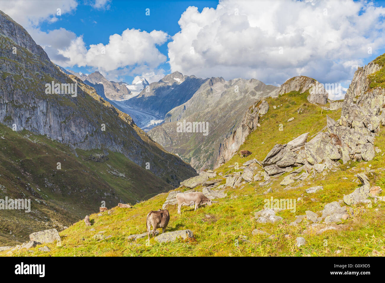 Swiss terrain High Resolution Stock Photography and Images - Alamy