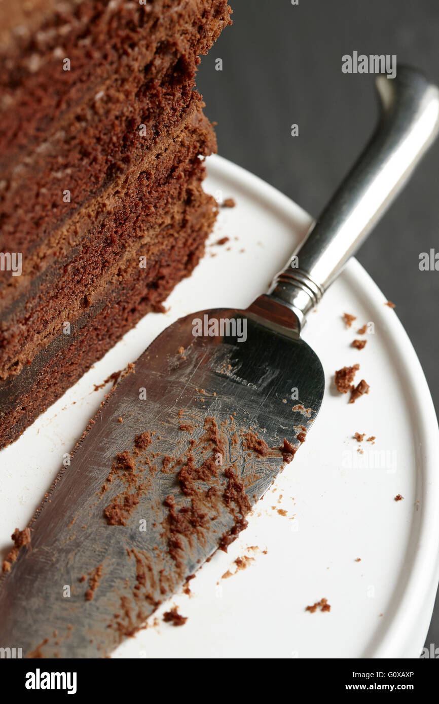 Close-up of Layered Chocolate Birthday Cake Cut in Half with Cake ...