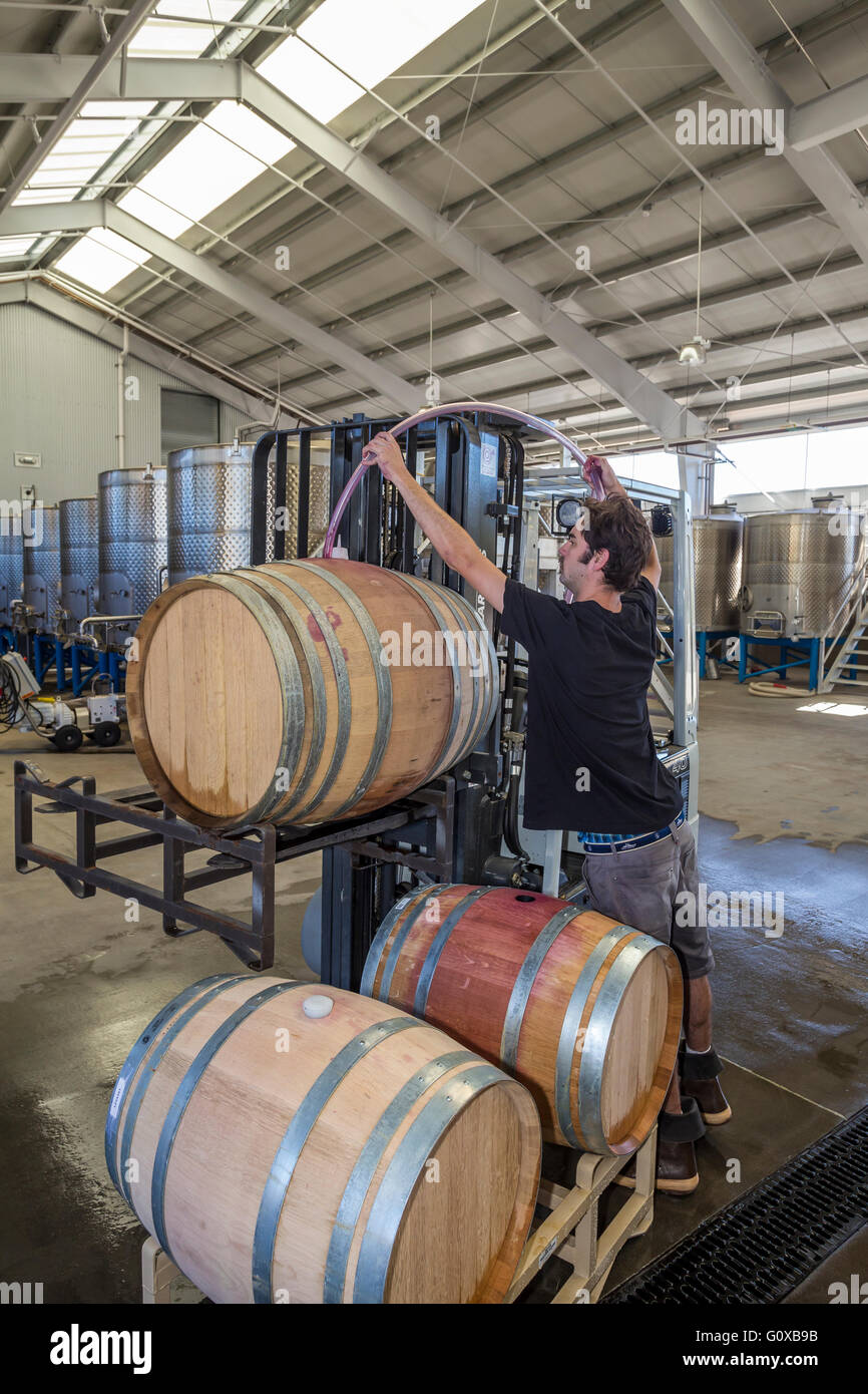 Worker topping up wine barrel in fermentation area at Mending Wall ...