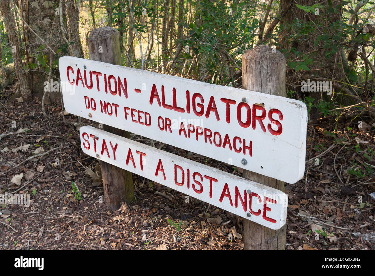 Caution sign warning about alligators in Brazos Bend State Park near ...