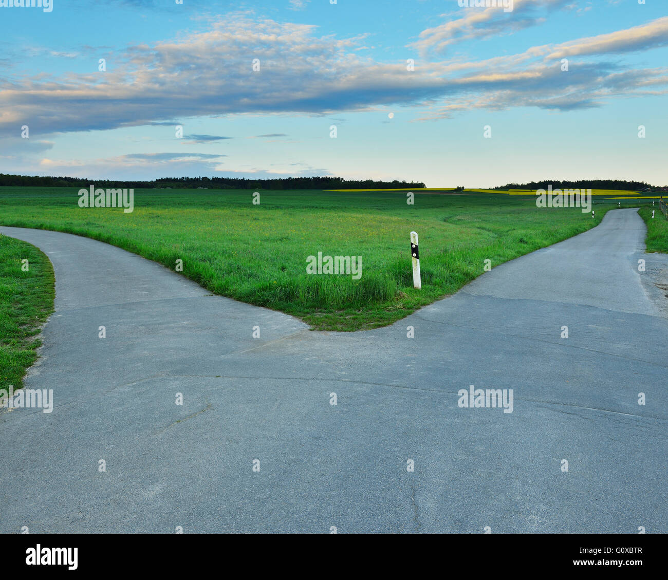 Forked Country Road in Morning, Walldurn, Neckar-Odenwald-District ...