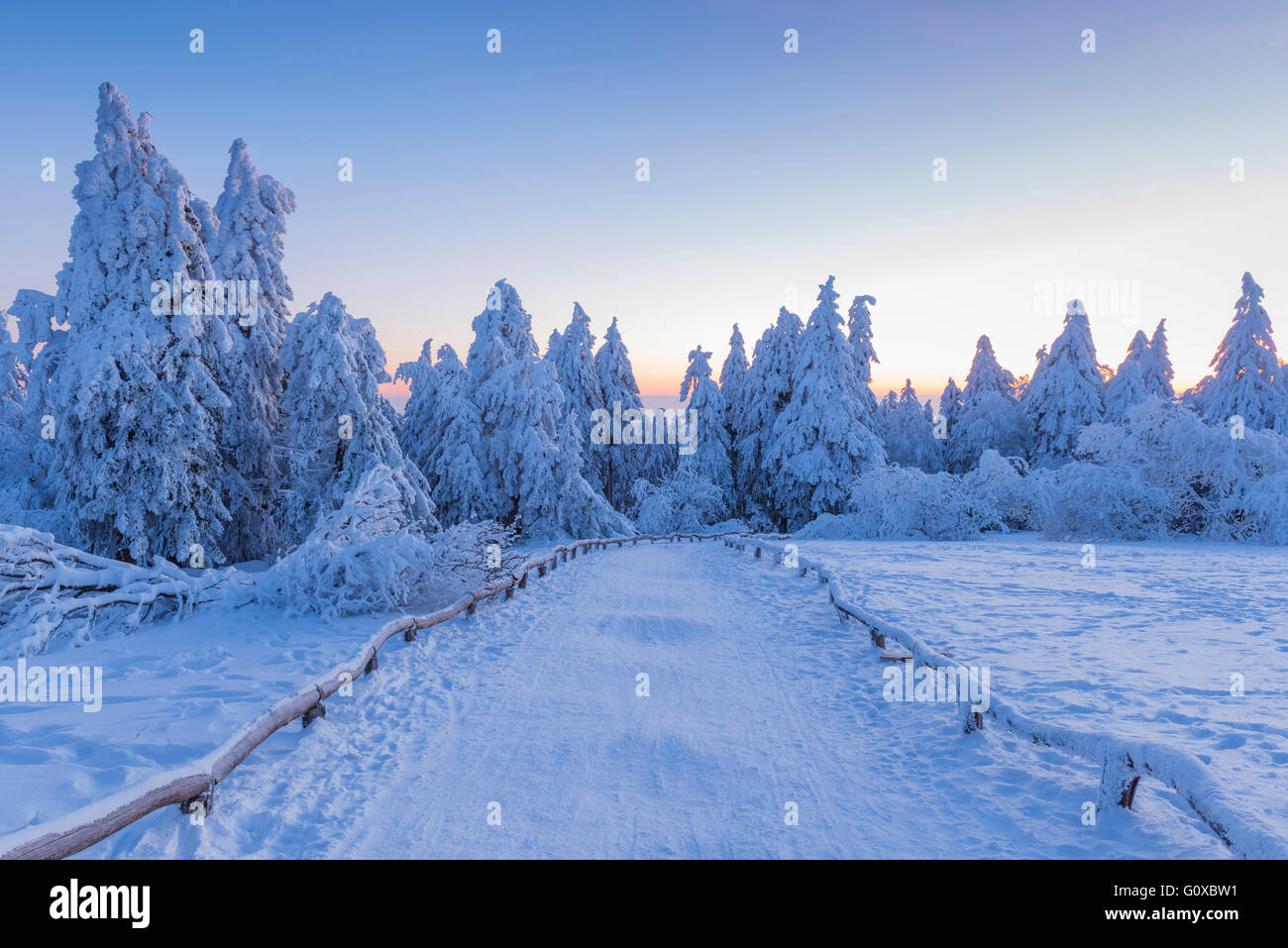Snow Covered Winter Landscape with Path at Dawn, Grosser Feldberg ...