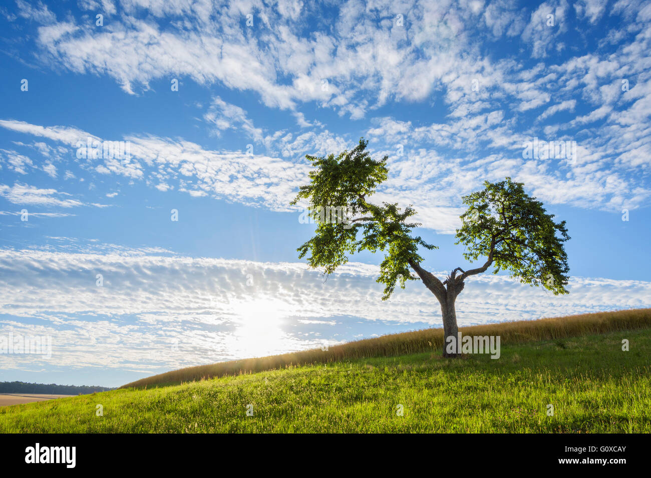 Miltenberg district hi-res stock photography and images - Alamy