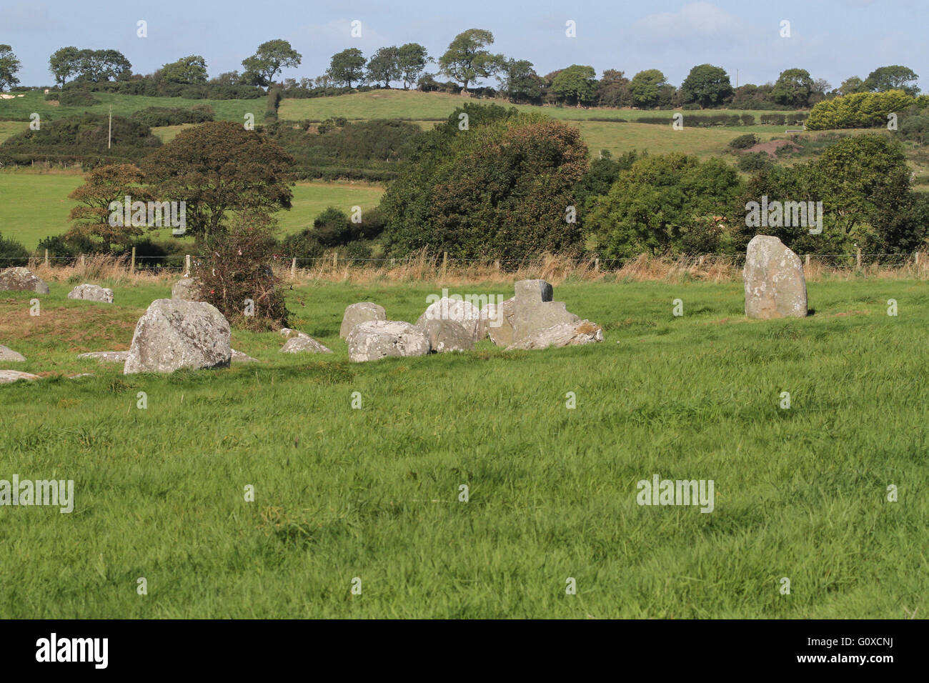 Ballynoe standing stones hi-res stock photography and images - Alamy