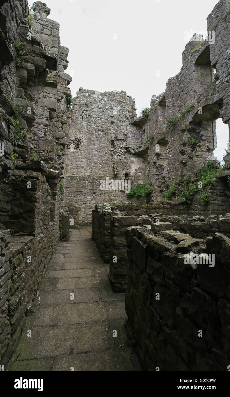 Inside castle ruins Northern Ireland, plantation of Ulster castle Monea ...