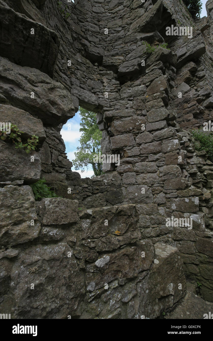 Inside castle ruins Northern Ireland, plantation of Ulster castle Monea ...