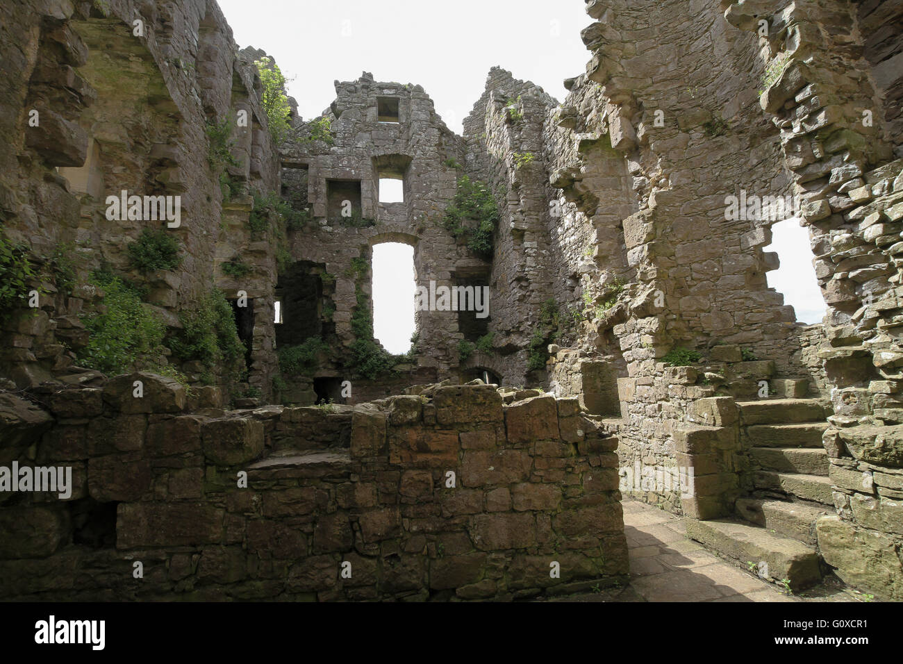 Inside castle ruins Northern Ireland, plantation of Ulster castle Monea ...