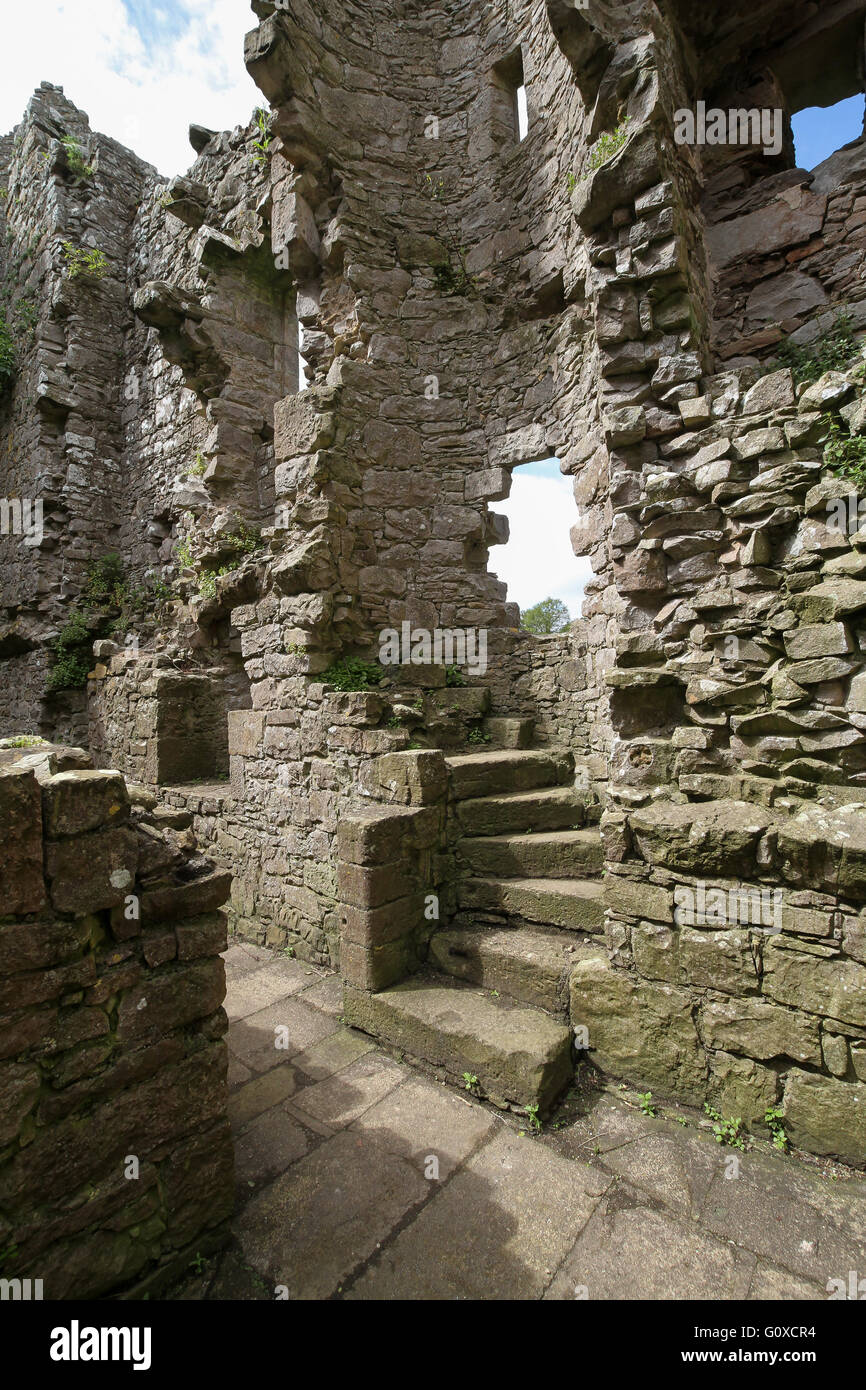 Inside castle ruins Northern Ireland, plantation of Ulster castle Monea ...