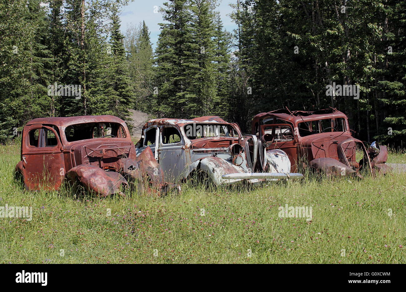 Three rusty cars in the forest Stock Photo - Alamy