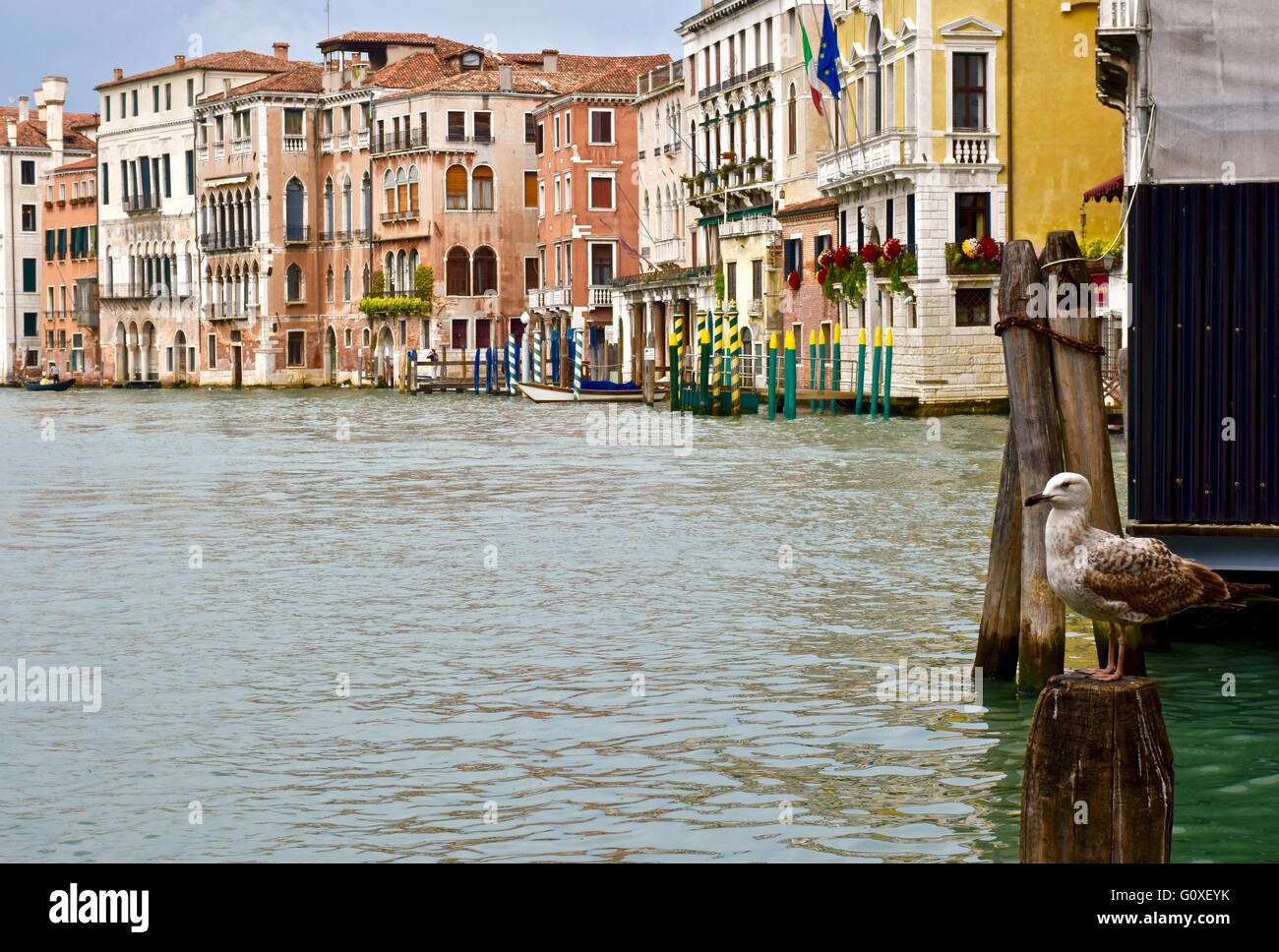 Buildings and streets venice hi-res stock photography and images - Alamy