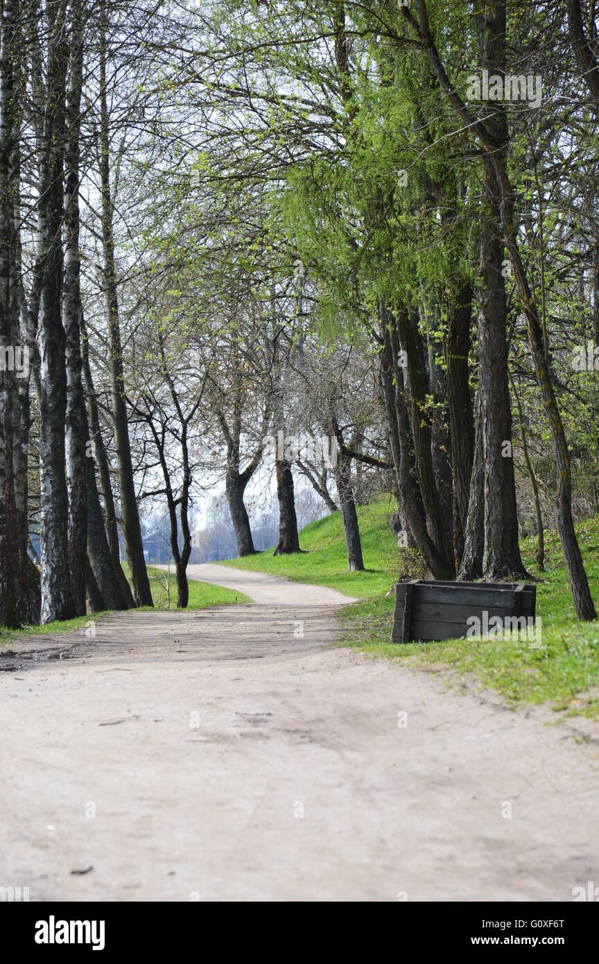Pathway in park Stock Photo - Alamy