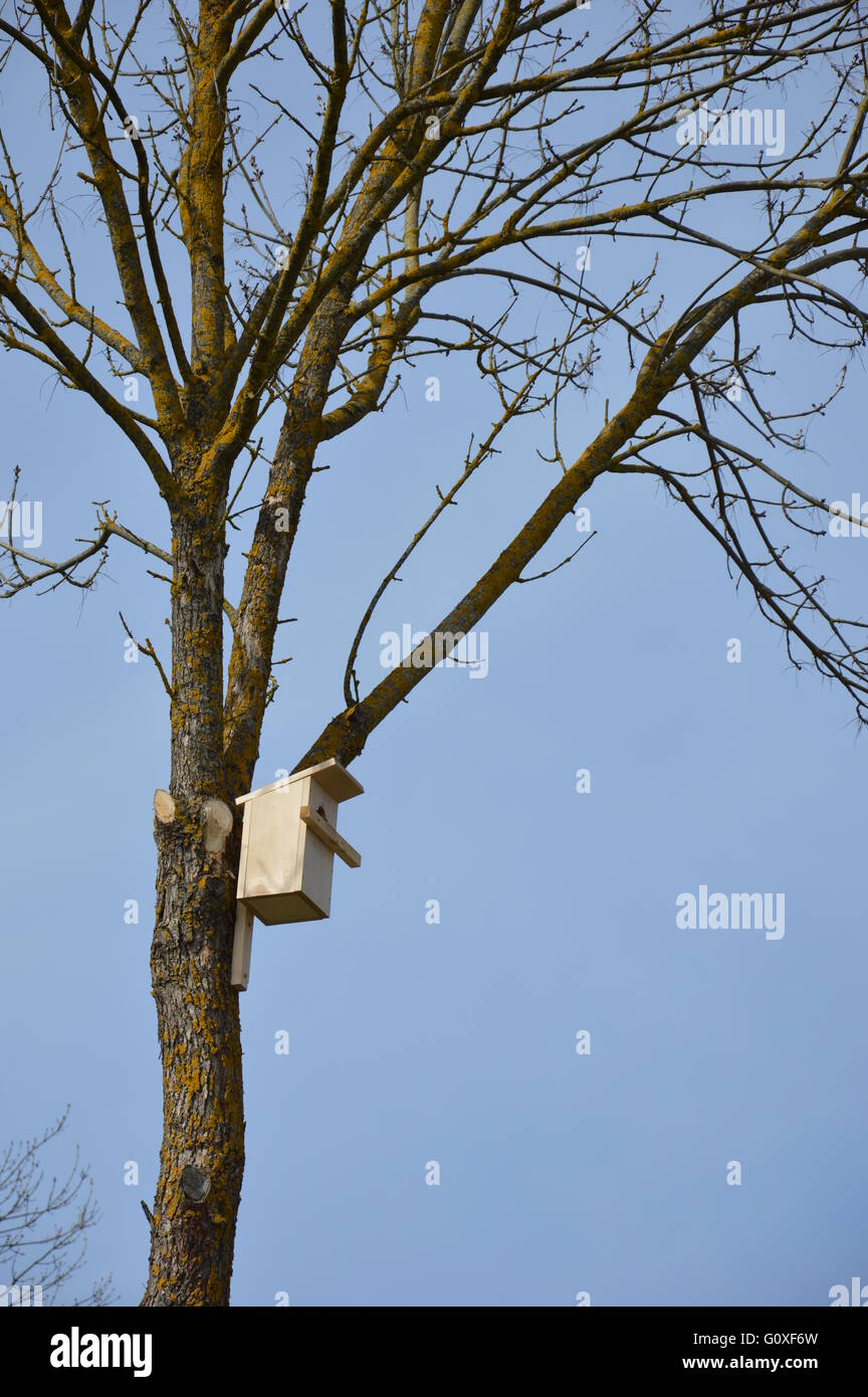 Nesting-box on cotted tree Stock Photo - Alamy