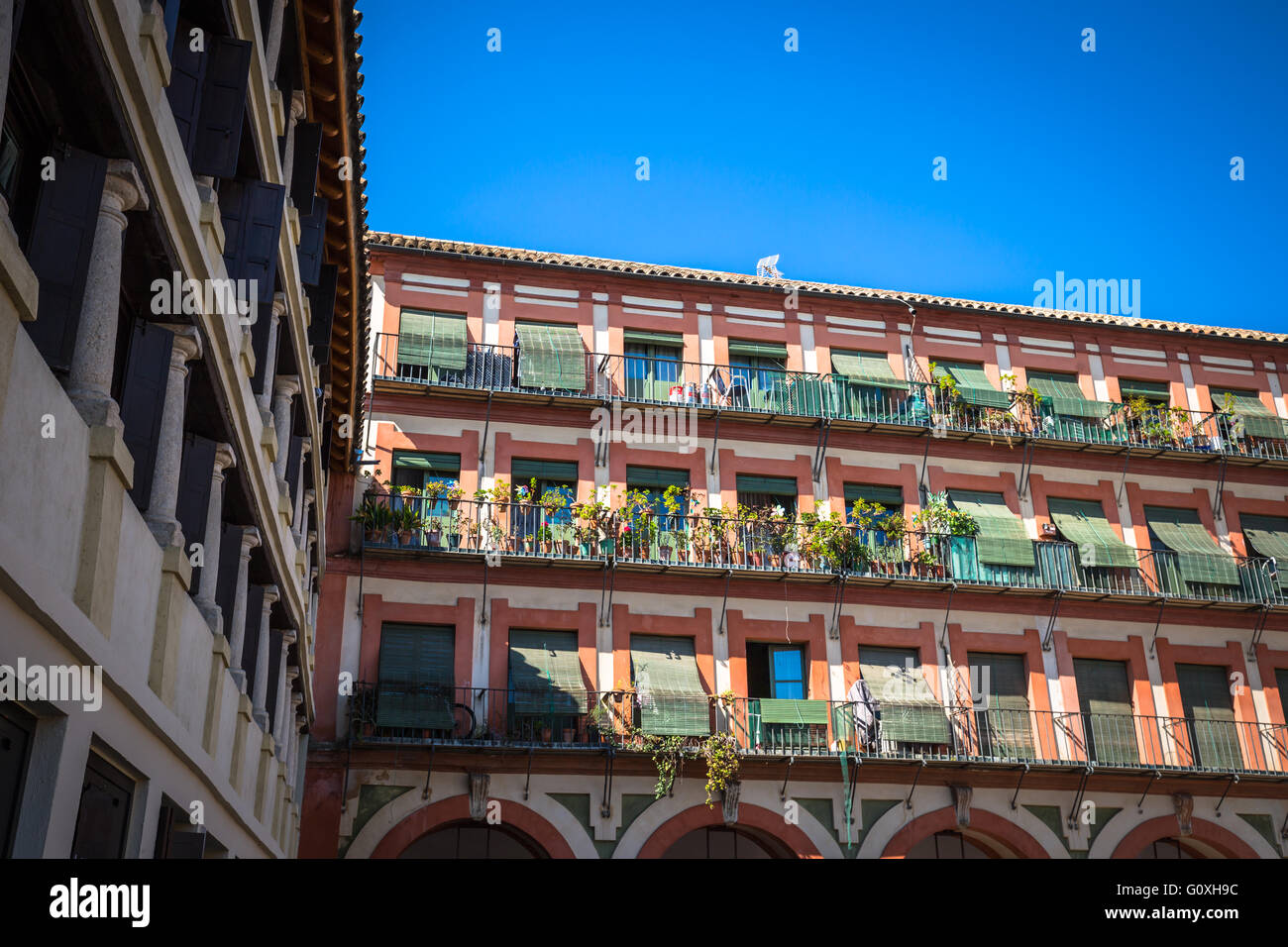 Plaza de la Corredera - Corredera Square in Cordoba, Andalusia, Spain ...