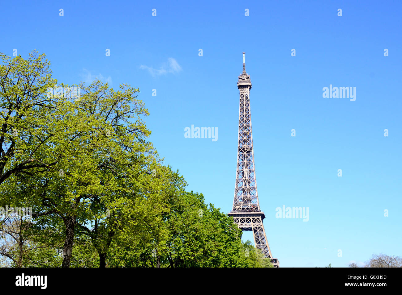 Eiffel Tower in Summer Stock Photo - Alamy