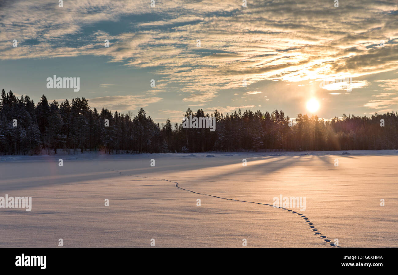 Deep meadow hi-res stock photography and images - Alamy