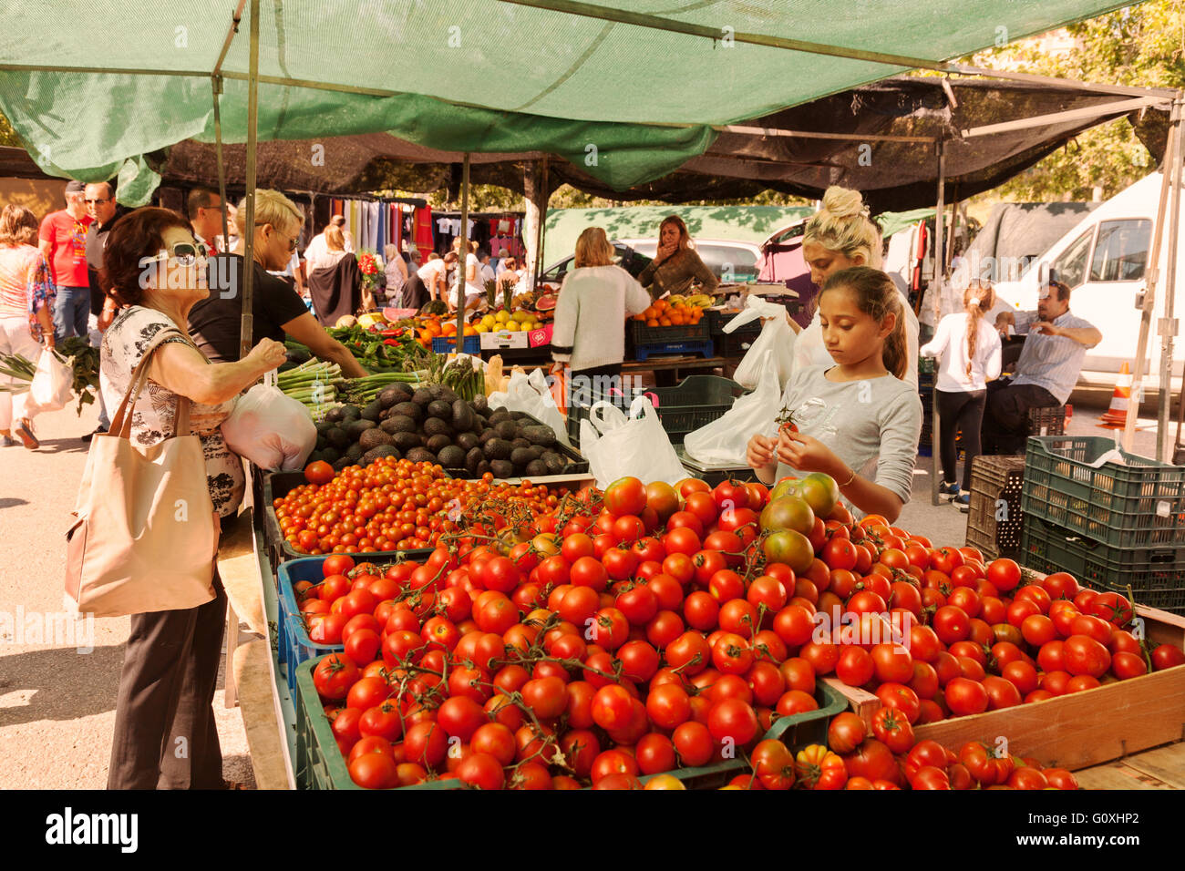 Spain food market; Tomatoes for sale in the food market, Marbella ...