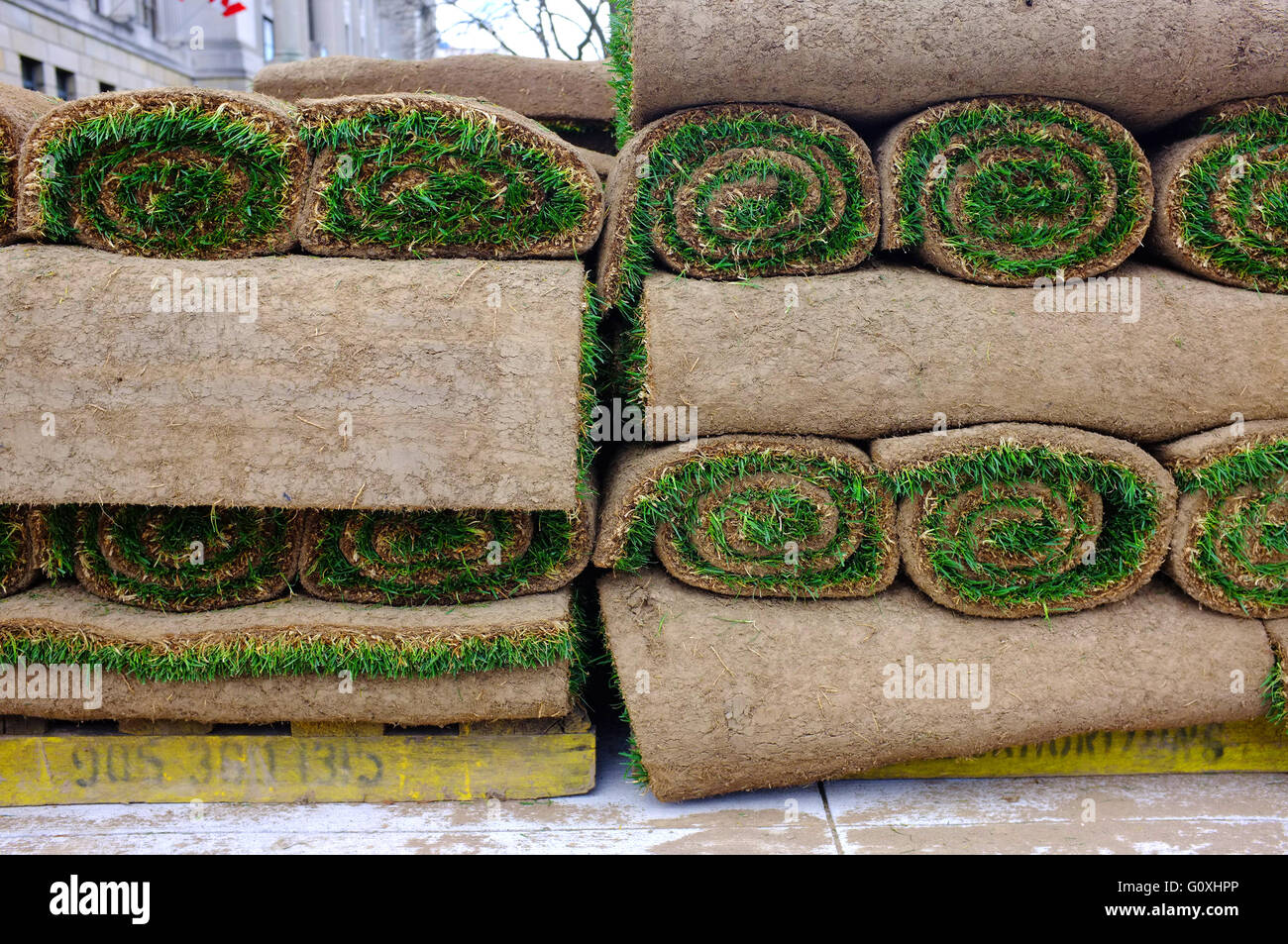Roll turf grass hi-res stock photography and images - Alamy