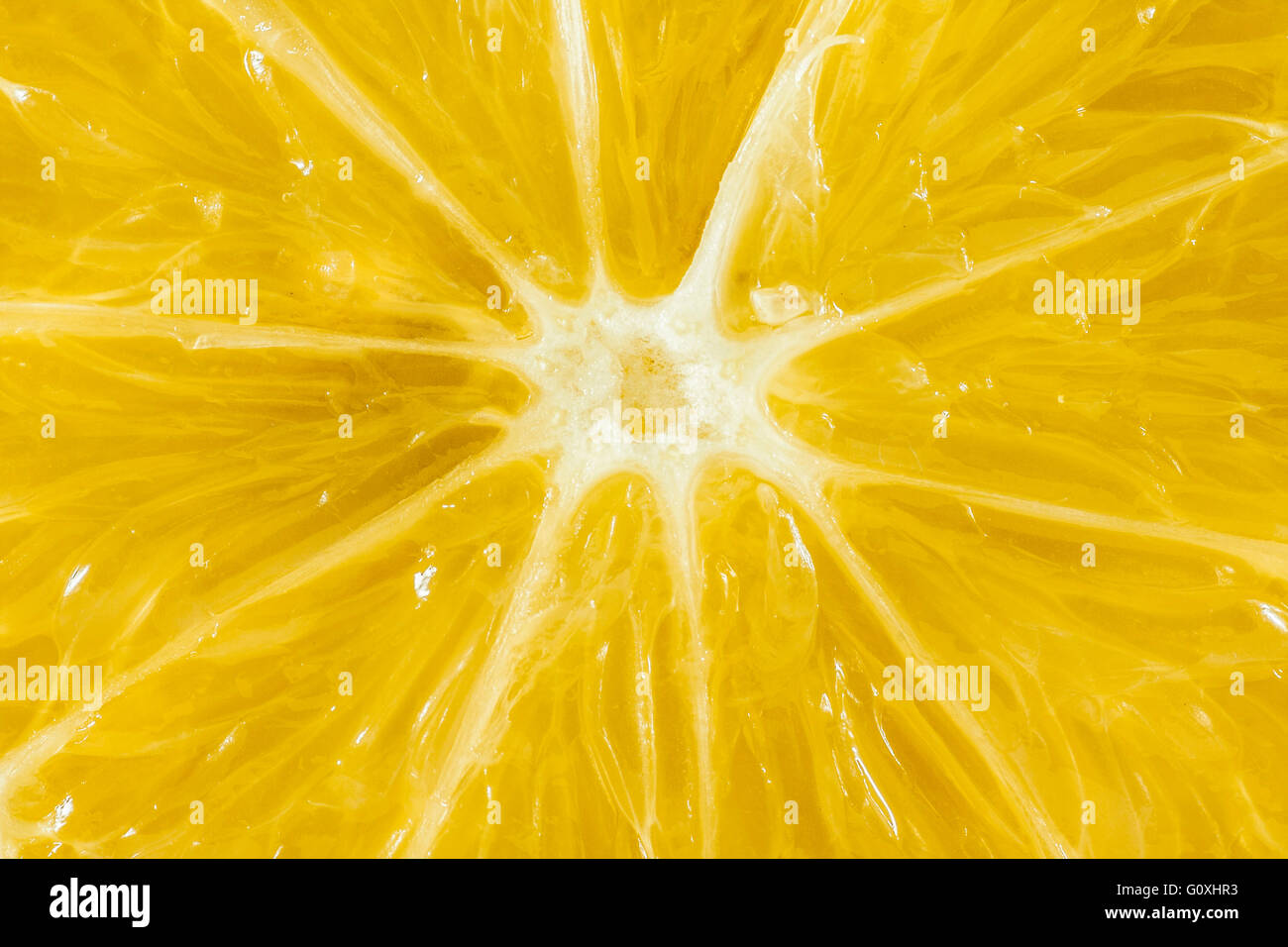 Juicy yellow slice of lemon. Closeup - macro Stock Photo - Alamy