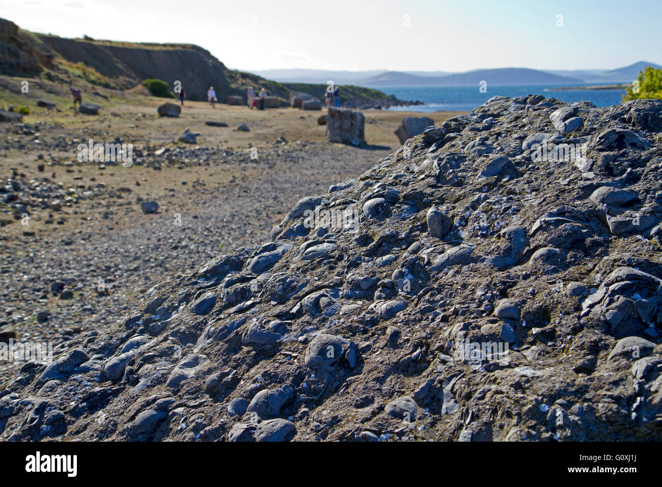 Fossil Cliffs Tasmania High Resolution Stock Photography and Images - Alamy