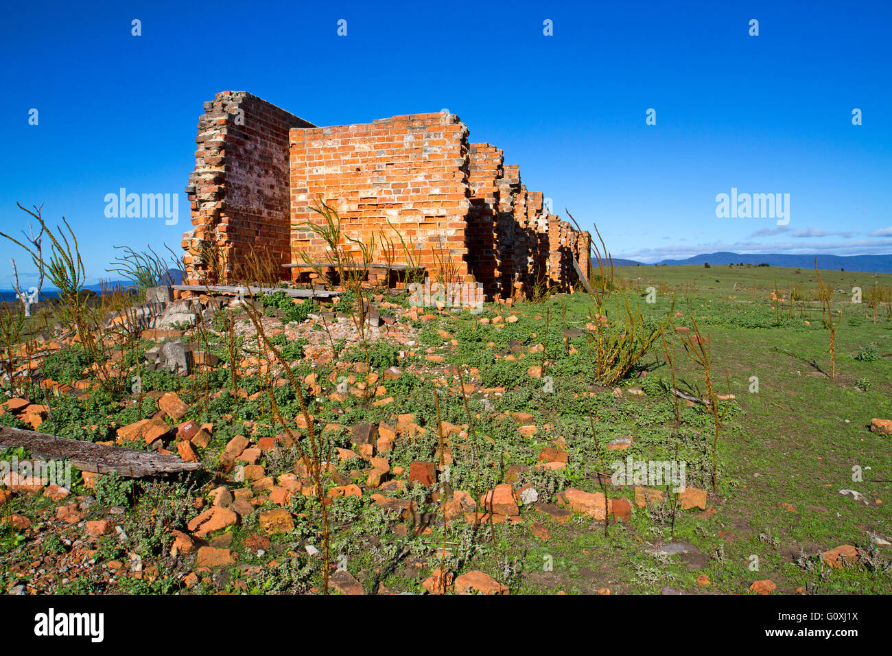 Ruins of convict cells at Lesueur Point on Maria Island Stock Photo - Alamy