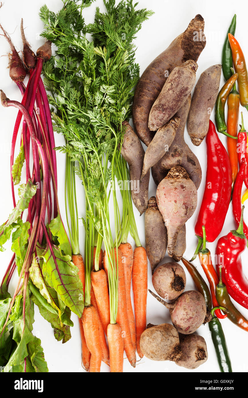 Bunch of beet leaves, carrots, beetroot and chili pepper on white ...