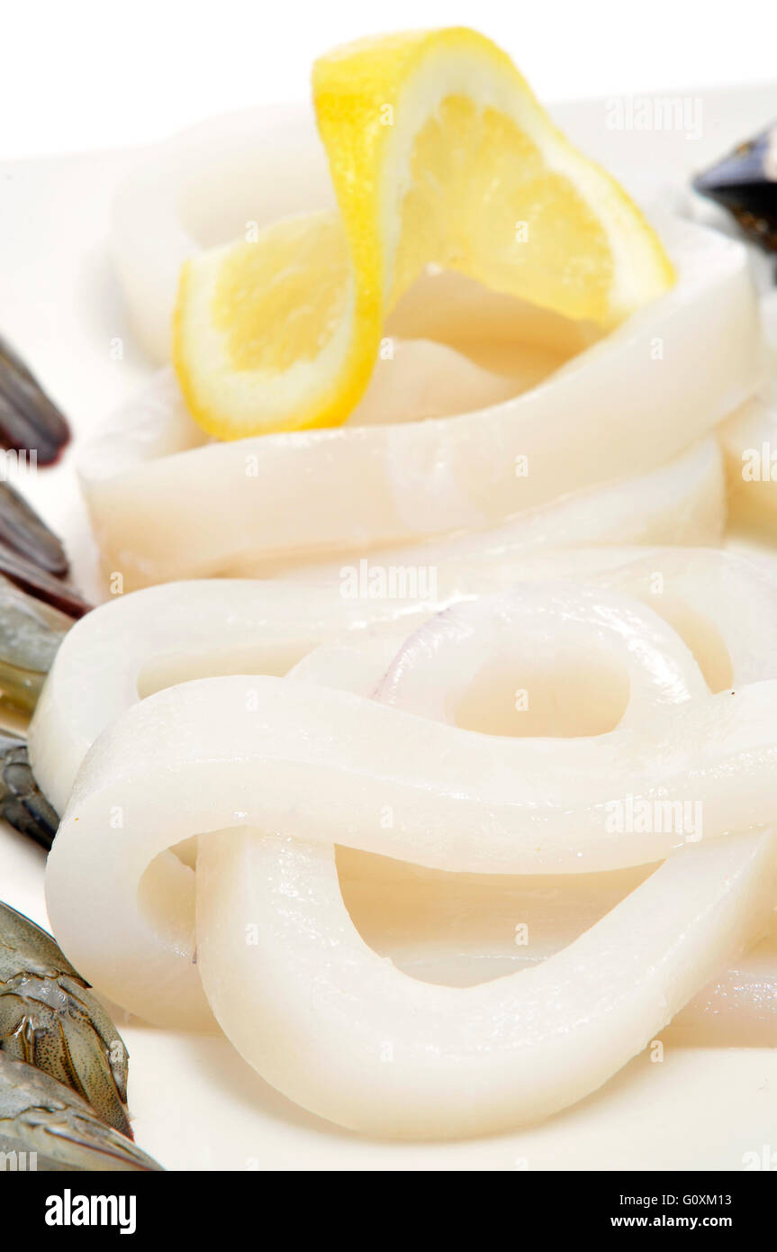 Raw squid cut pieces hi-res stock photography and images - Alamy