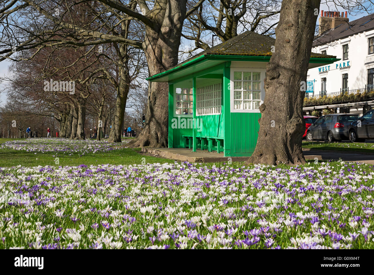 The Stray Harrogate Stock Photos & The Stray Harrogate Stock Images - Alamy