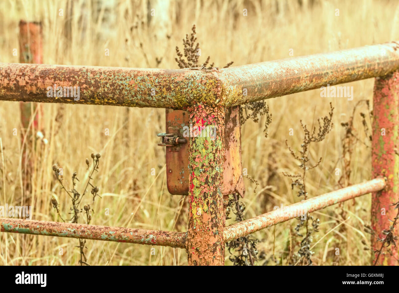 Fragment old rusty metal fence with peeling paint Stock Photo - Alamy