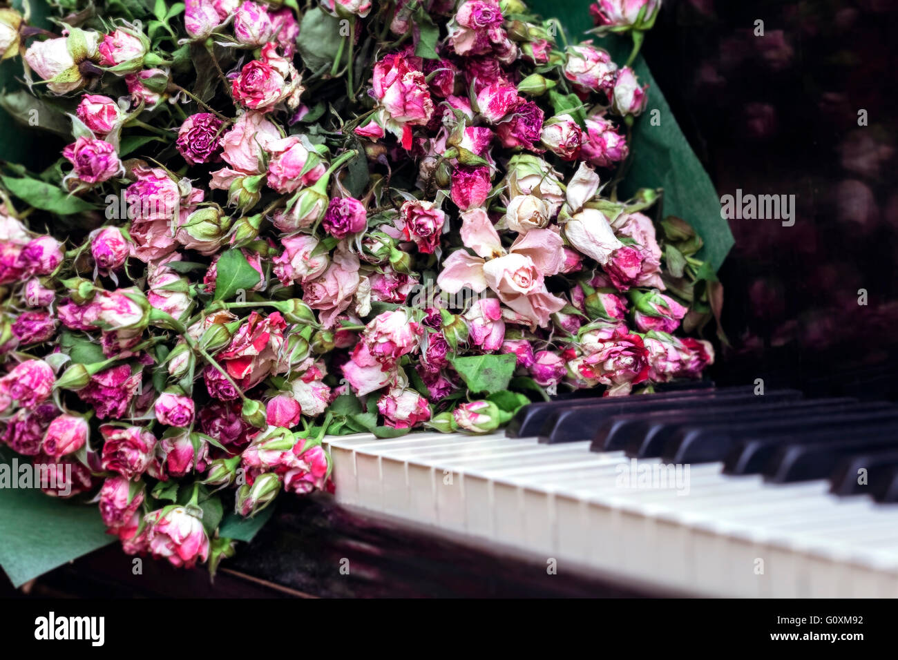 Nice bouquet of roses on piano keys Stock Photo - Alamy