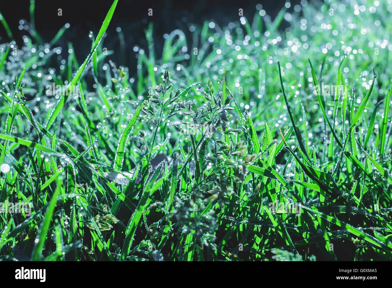 Weather focus symbols hi-res stock photography and images - Alamy