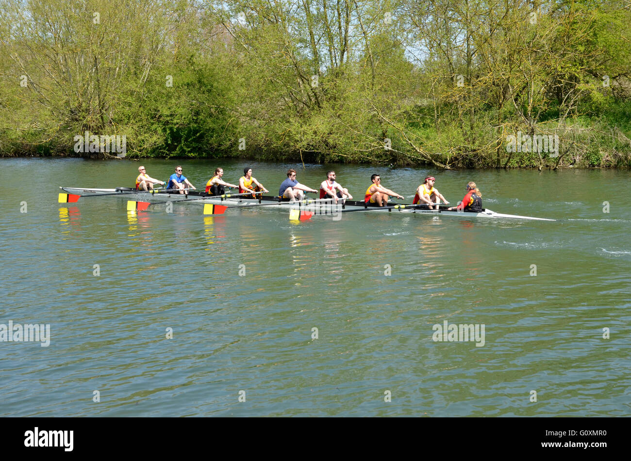 A coxed eight of Oxford University rowers on the River Thames (Isis) at ...