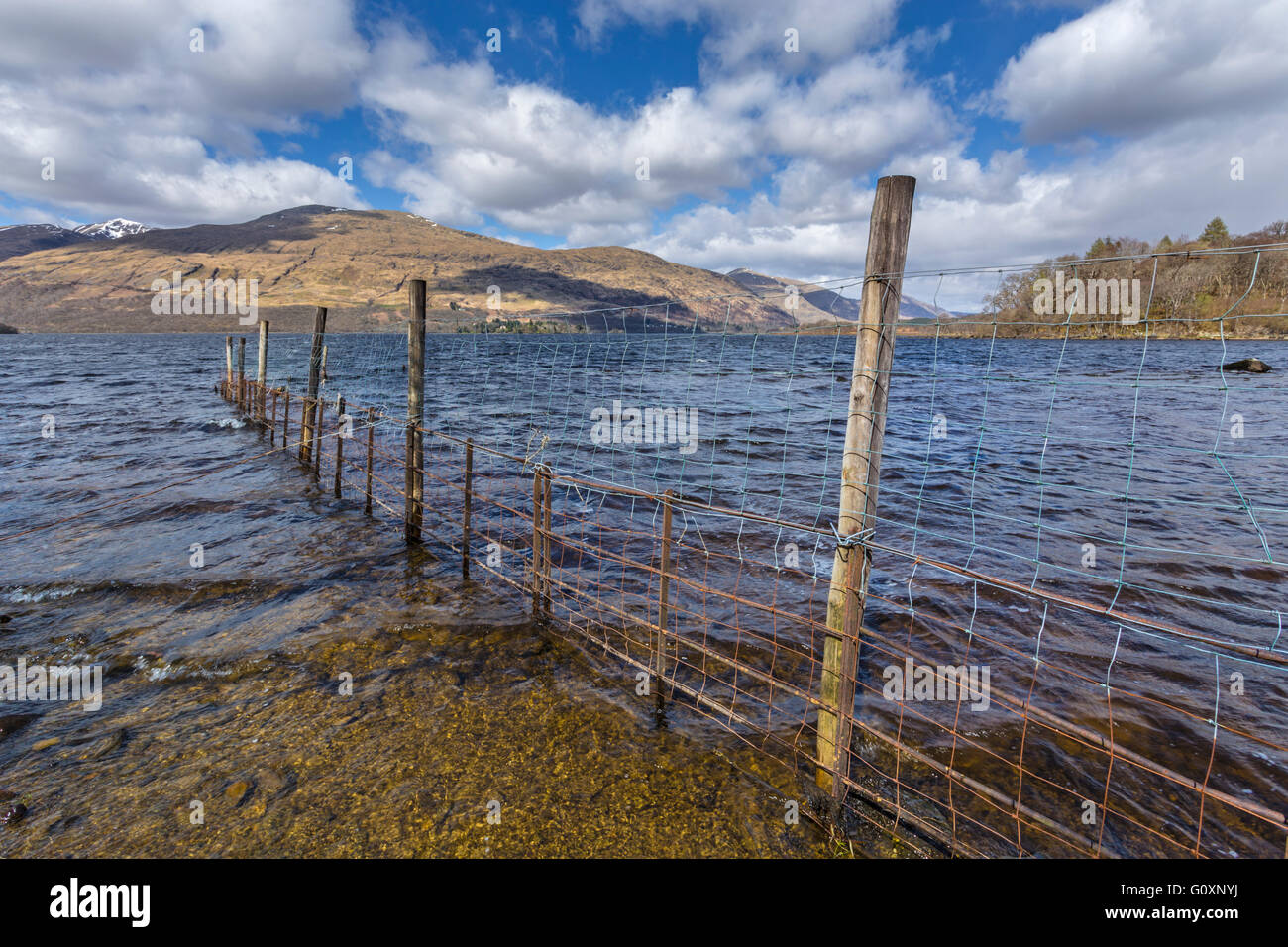 Loch awe hi-res stock photography and images - Alamy