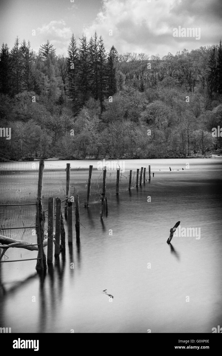 White awe hi-res stock photography and images - Alamy