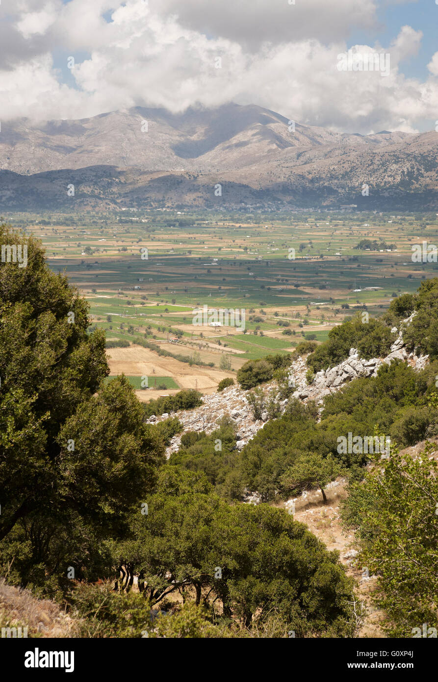 Landscape at Lasithi Plateau in Crete. Greece. Vertical Stock Photo - Alamy
