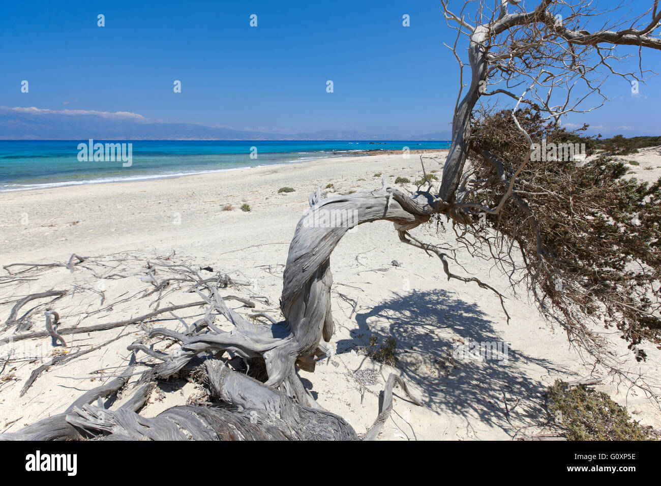 Chrysi island beach near Crete. Greece. Horizontal Stock Photo - Alamy