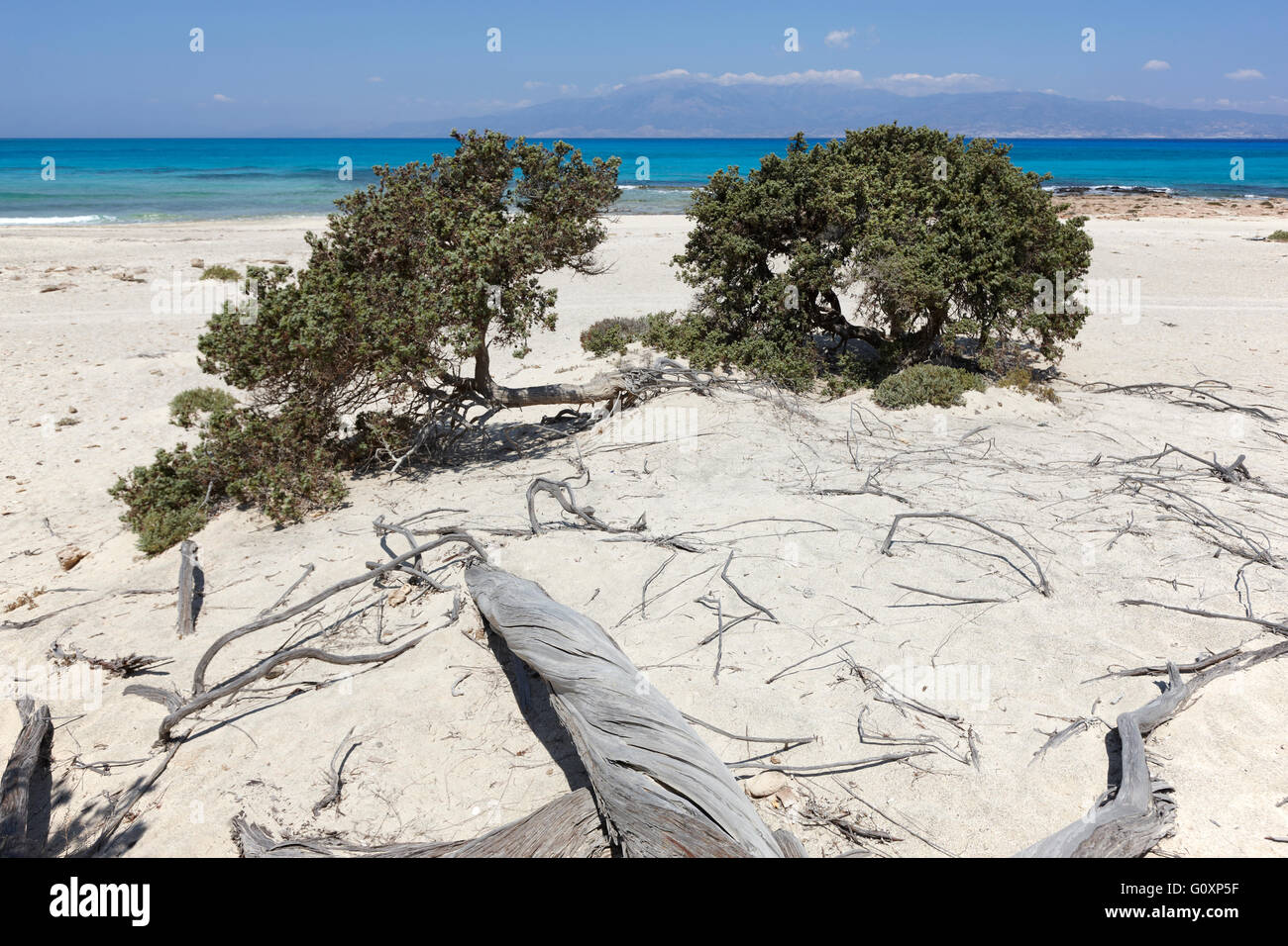 Chrysi island beach near Crete. Greece. Horizontal Stock Photo - Alamy