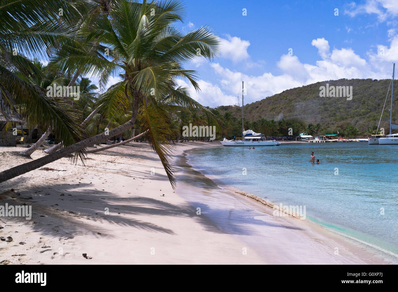 dh Mayreau island ST VINCENT CARIBBEAN Saltwhistle Bay beach palm tree ...
