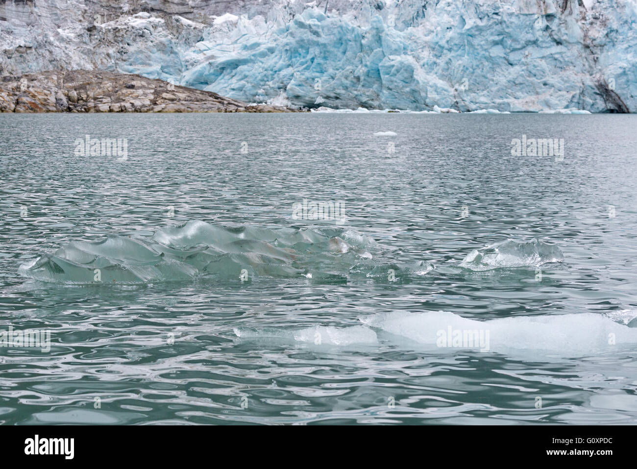 Small icebergs drifting in front of Smithbreen Glacier in Raudfjorden ...