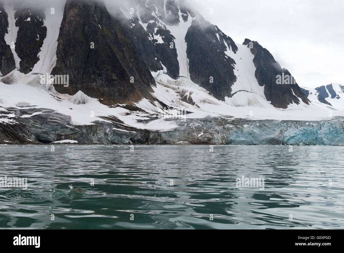 Raudfjorden High Resolution Stock Photography and Images - Alamy