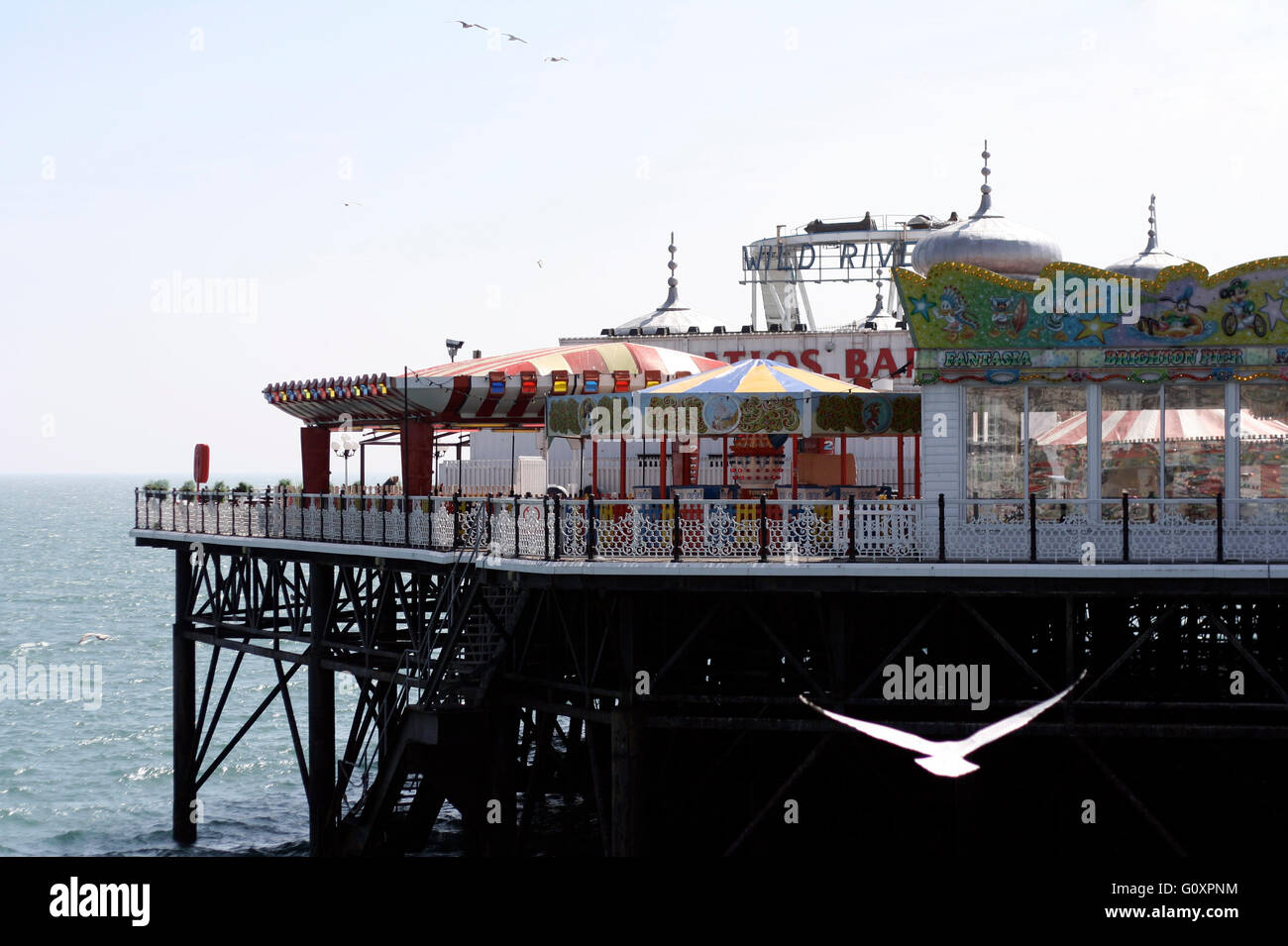 bird brighton pier sun blue sky skies arcades Stock Photo - Alamy