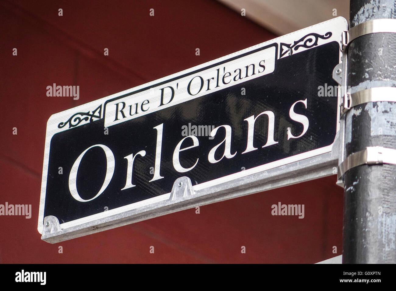 Swamp new orleans hi-res stock photography and images - Alamy