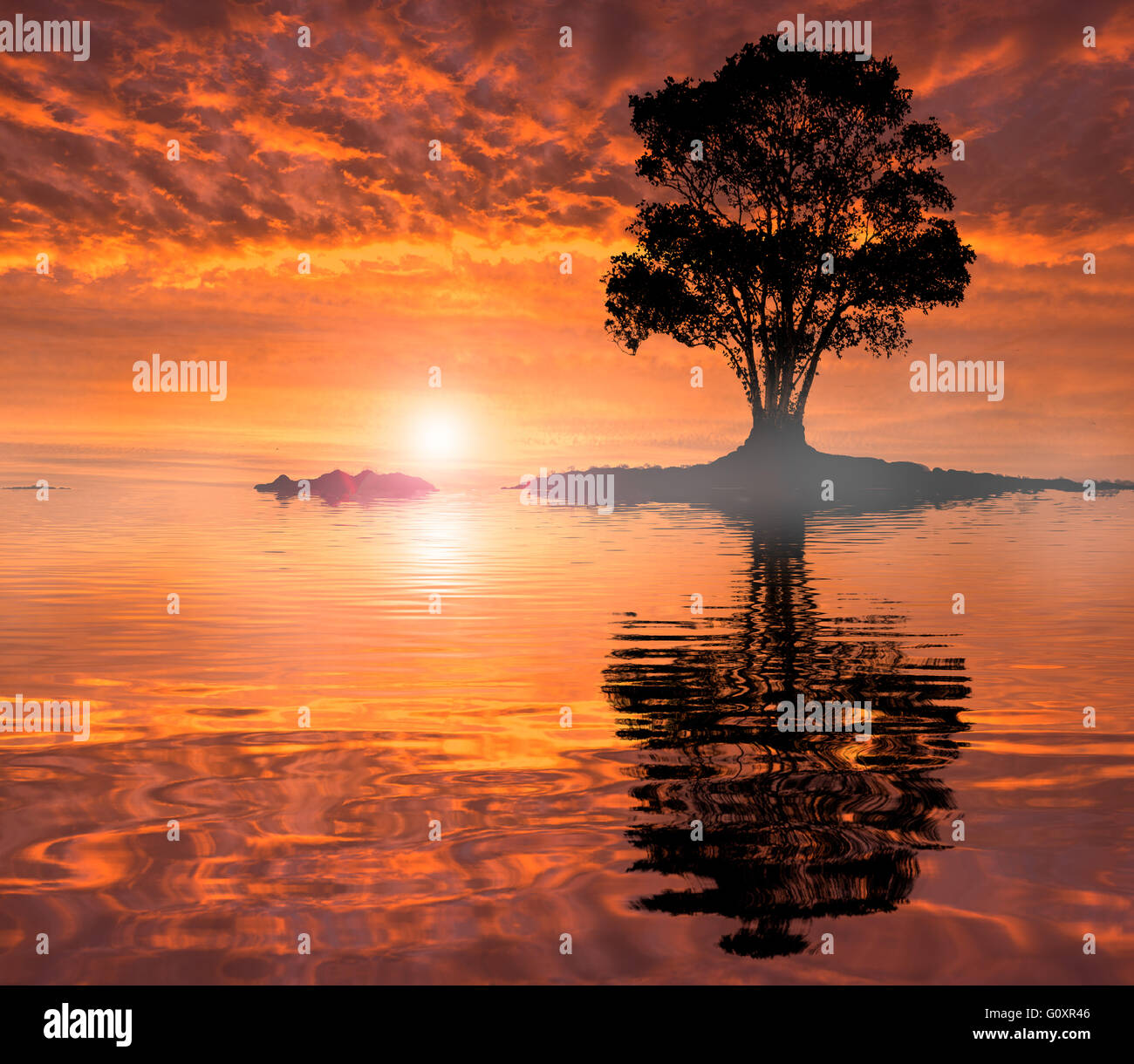 Sunset on the Ethereal island with the lone tree,a magical vista ...
