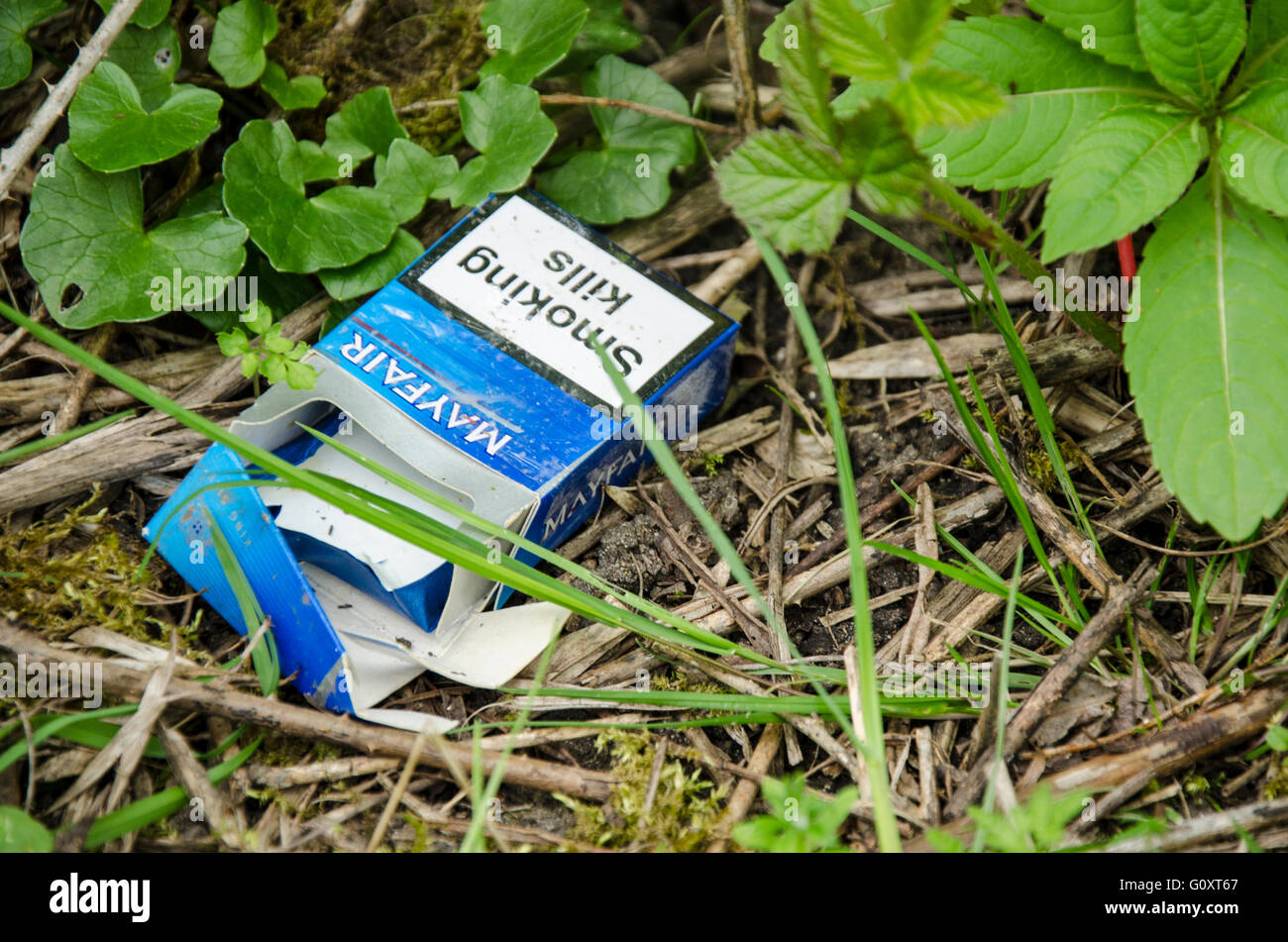 A cigarette packet just discarded by a passing smoker litters ...