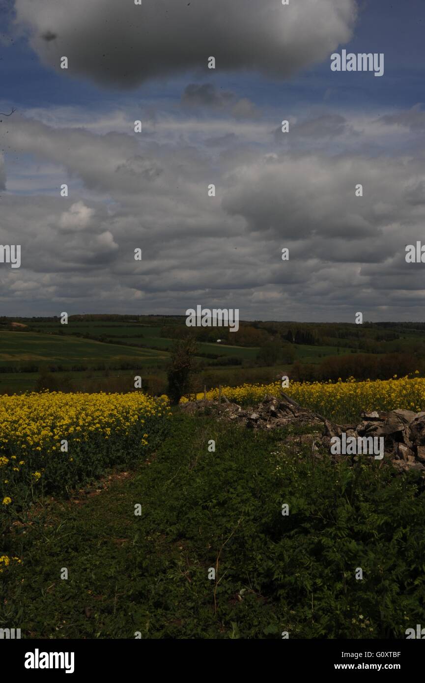 Versatile cooking oil hi-res stock photography and images - Alamy