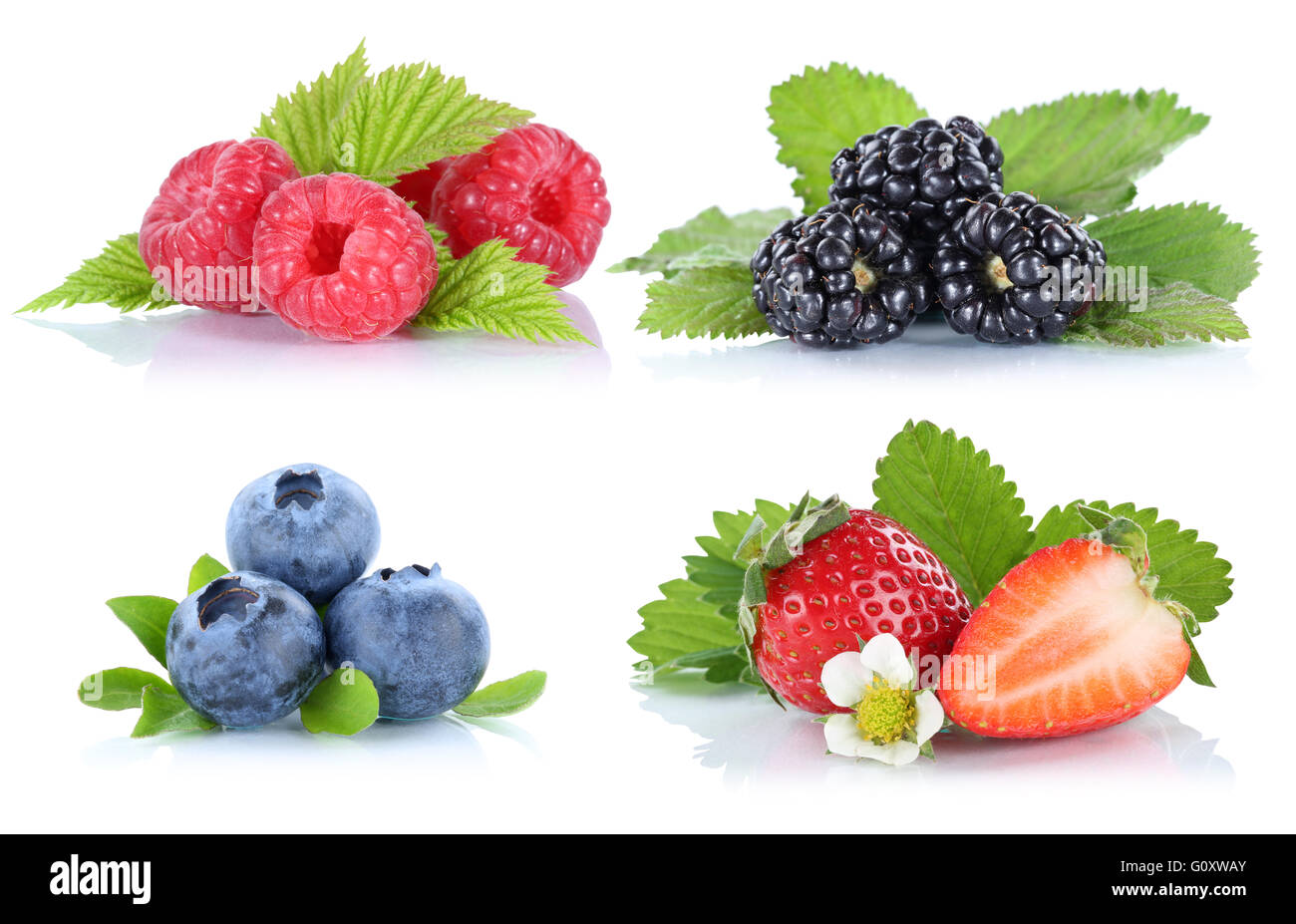 Collection of berries hi-res stock photography and images - Alamy
