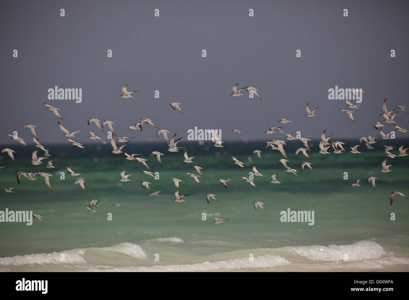 Galu beach kenya hi-res stock photography and images - Alamy