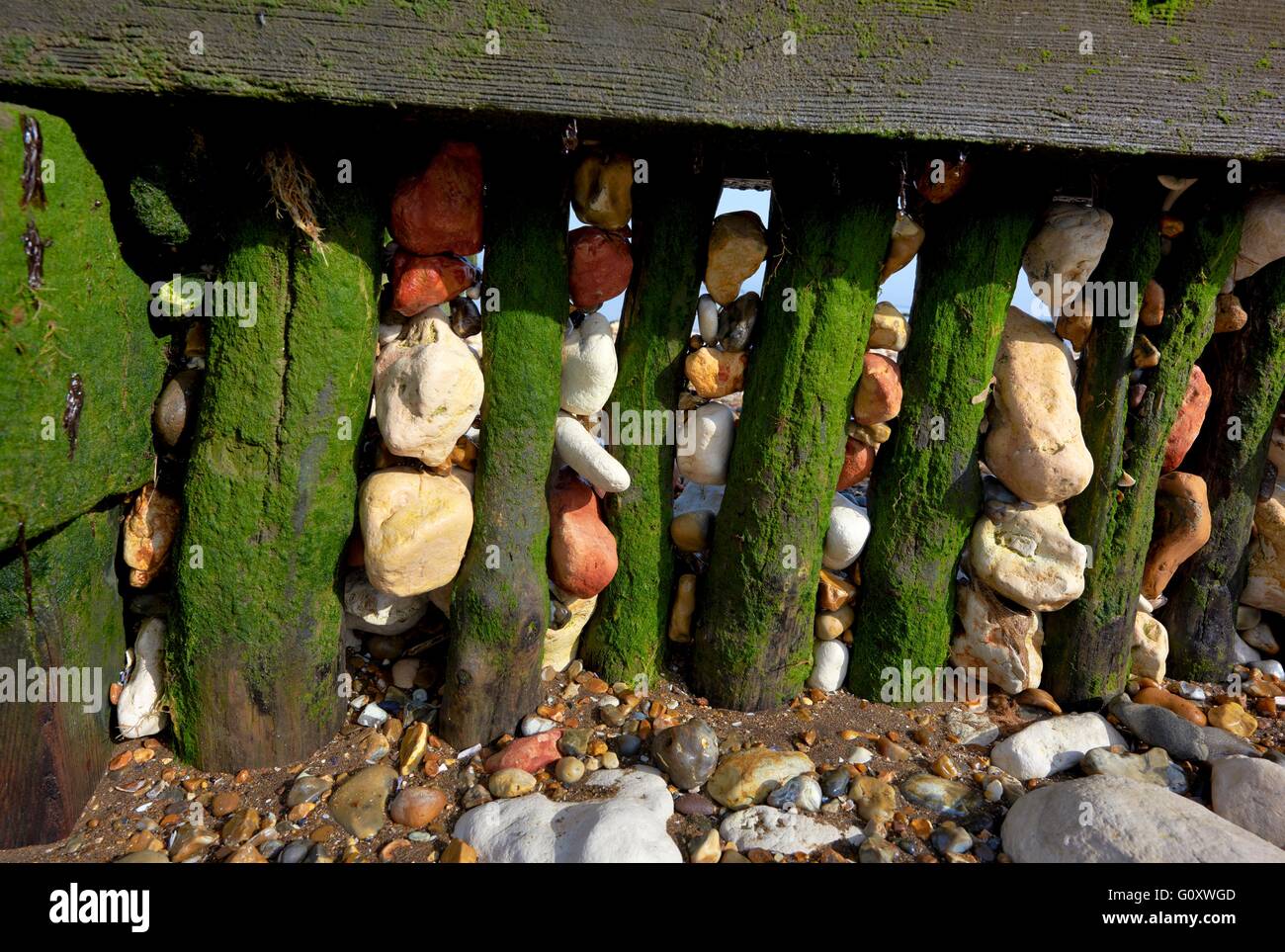 A close up of groynes on Hunstanton beach Norfolk England uk Stock ...