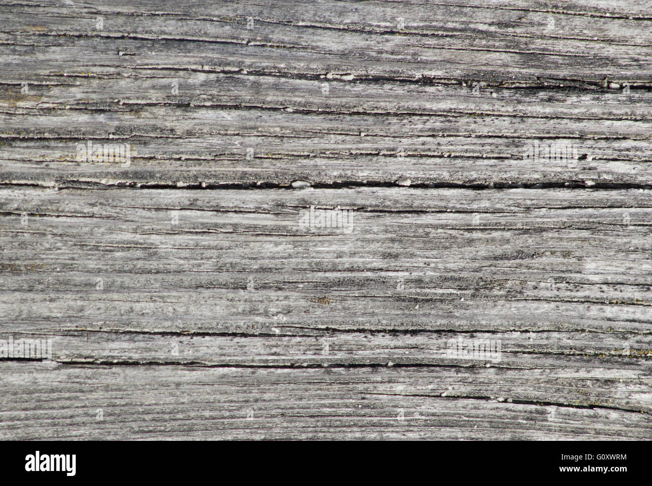 Gray lumber hi-res stock photography and images - Alamy