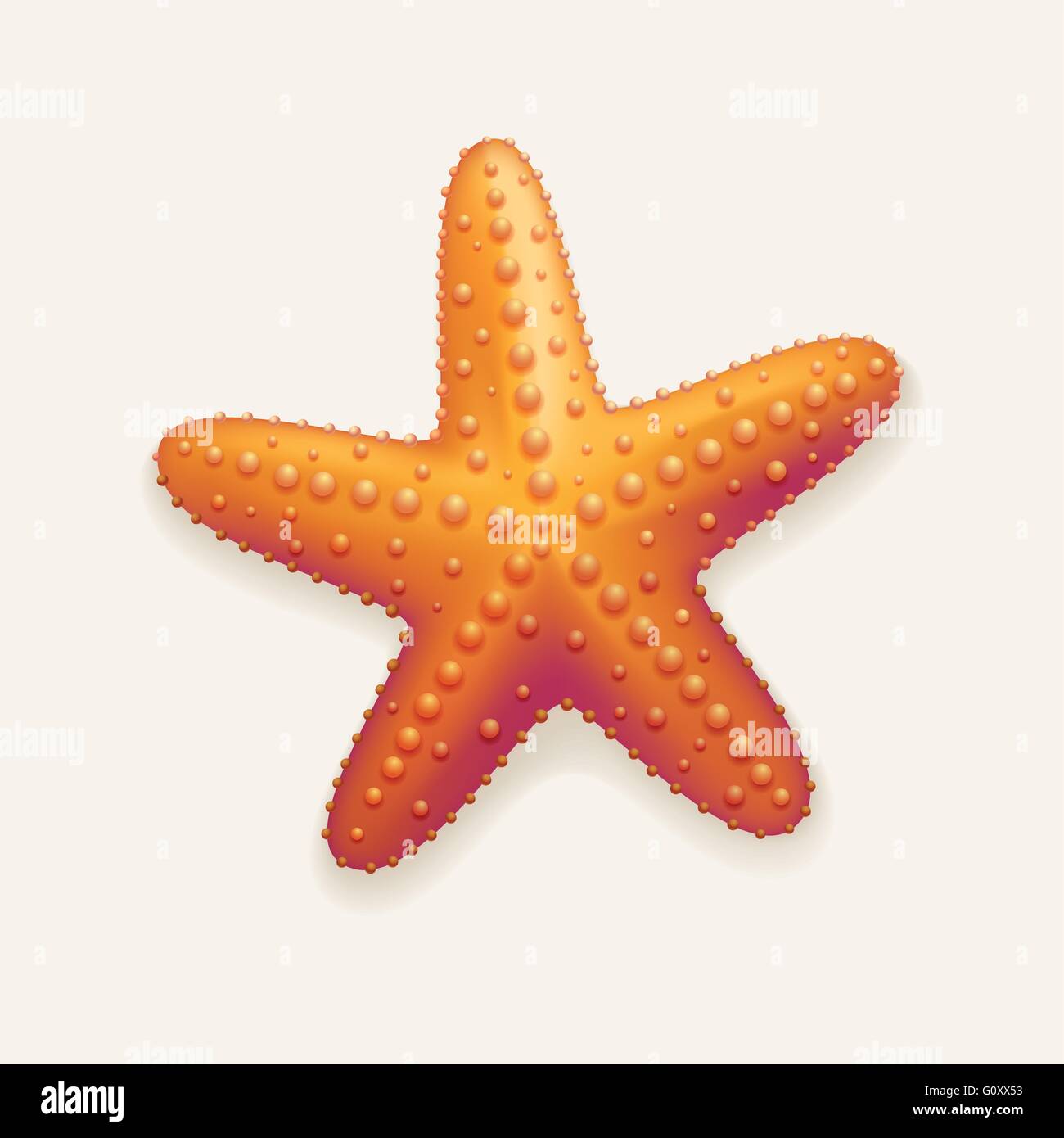 Starfish vector vectors hi-res stock photography and images - Alamy