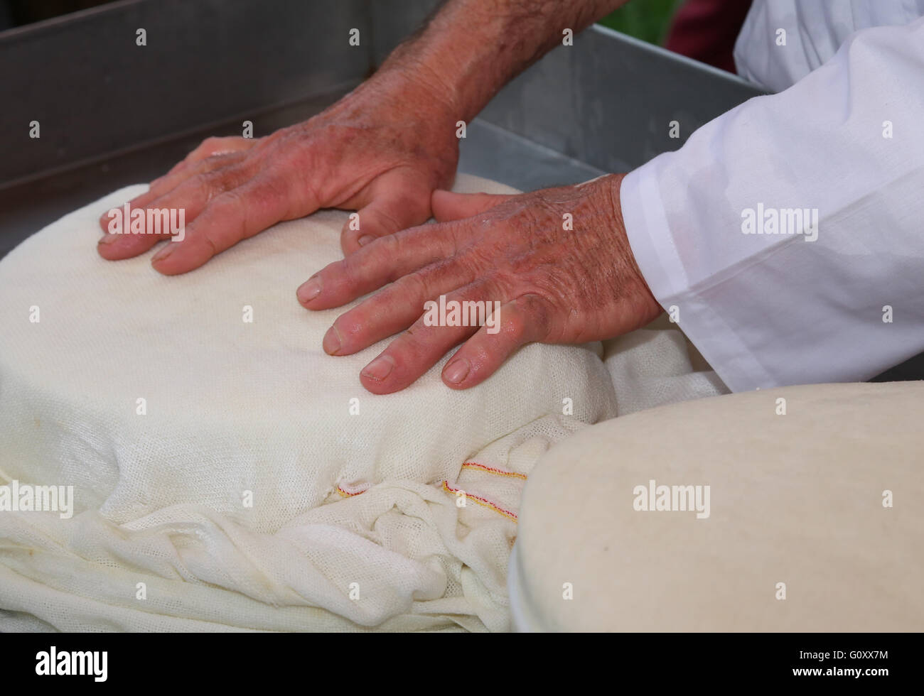 hands of an old and expert cheesemaker over the freshly cheese in the ...